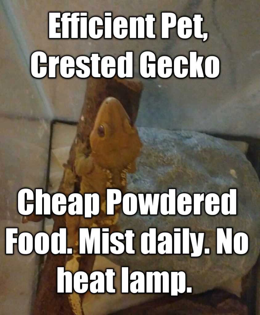 » Efficiency Memes